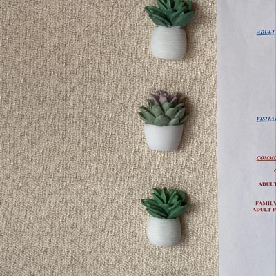 U Brands 6ct Potted Succulent Push Pins : Target