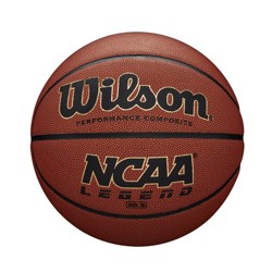 Wilson Icon 28.5" Basketball : Target