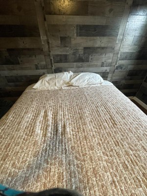 Full/queen Printed Cotton Voile Tonal Floral Quilt Ivory/camel ...