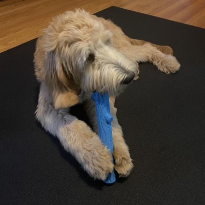 Long Rubber Stick With Crinkles Dog Toy - Blue - Boots & Barkley™ : Target