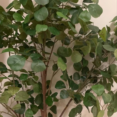 72" Artificial Ficus Tree - Threshold™ Designed With Studio Mcgee : Target