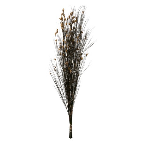 Vickerman 36-40" Natural Bell Grass With Seed Pods, 8-9 Oz Bundle ...