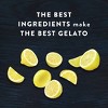 Talenti Zesty Lemon With Real Lemon Dairy-free Sorbetto - Frozen - 1 ...