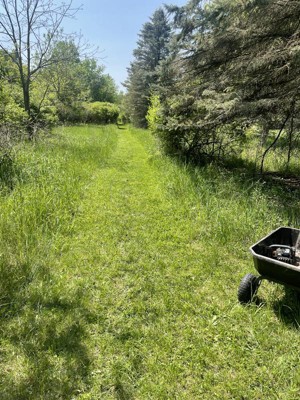 Worx Nitro Wg761 80v 21" Cordless Self-propelled Lawn Mower With ...
