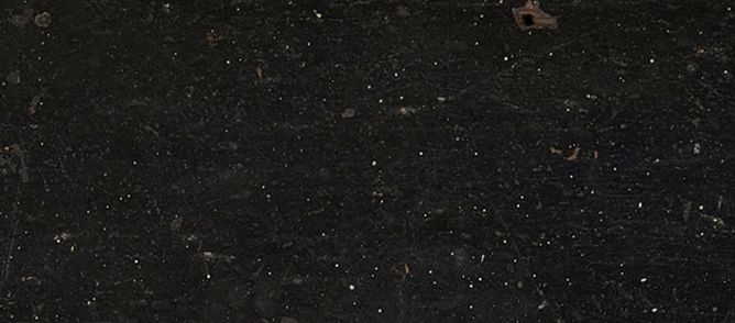 John Derian for Target: Thanksgiving Décor : Target