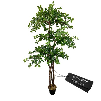 Cypress & Alabaster | Handmade 3' Artificial Black Olive Tree In Home ...
