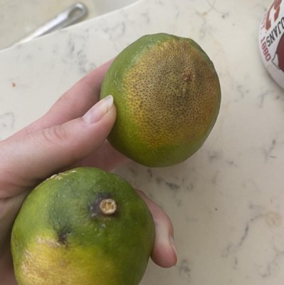 Lime - Each : Target