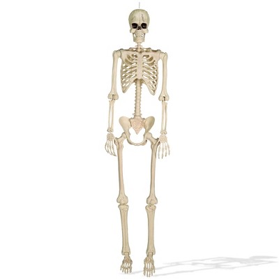Boo Box 74" Franken Skeleton, Posable Scary Halloween Skeleton ...