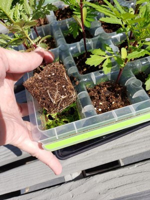 Burpee 16 Xl Cell Superseed Seed Starting Tray : Target