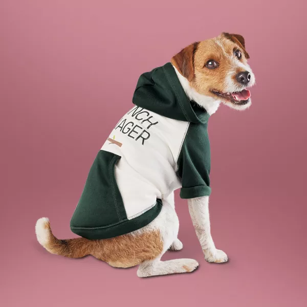 Top Pet Gifts at Target : Toys, Treats & More