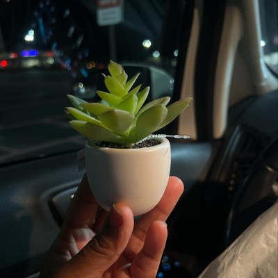 3.5" Mini Tabletop Succulent Artificial Plant - Threshold™ : Target