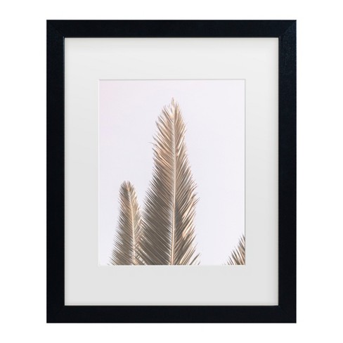 Shot By Clint Phoenix Palm Matted Framed Art : Target