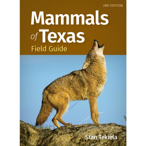 Mammals Of Texas Field Guide - (mammal Identification Guides) 2nd ...