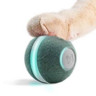 Cat Toys : Target