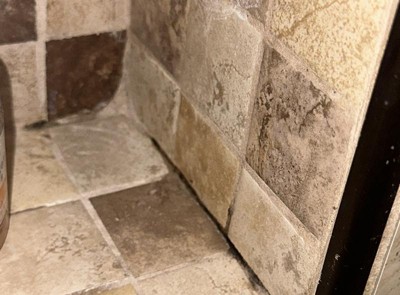 Lysol Mold & Mildew Remover Trigger - 32 Fl Oz : Target