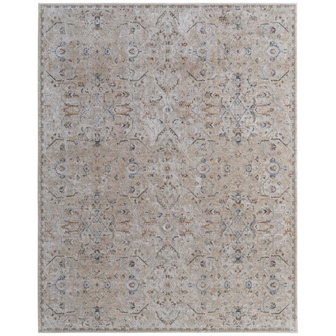 Pasha Transitional Distressed Area Rug : Target