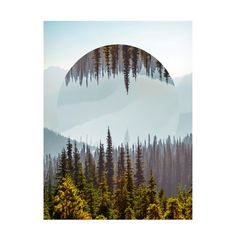 Vision Studio Western Treetops Iv Canvas Art : Target