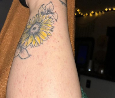 Flamingo 5-blade Women's Razor - 1 Razor Handle + 2 Razor Blade Refills ...