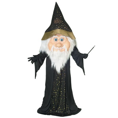 Forum Novelties Men's Wizard Mascot Costume : Target