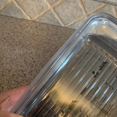 Prepworks 1.2qt Berry Prokeeper : Target