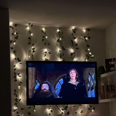 5' X 3.5' Led Vine Curtain String Lights Warm White - West & Arrow : Target