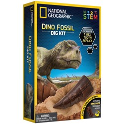 National Geographic Dino Egg Dig Kit : Target