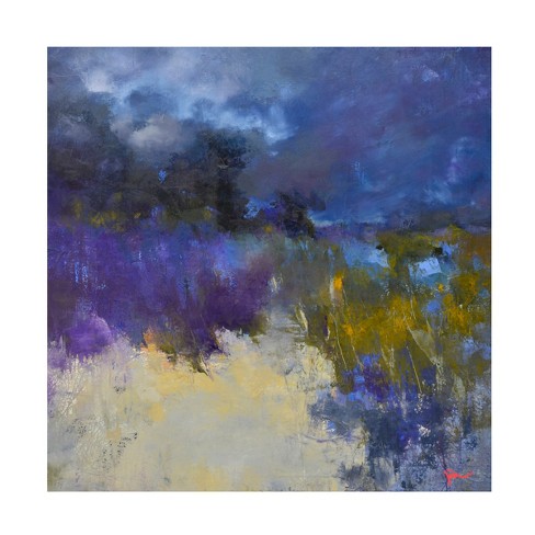 Trademark Fine Art - Patrick Dennis Moonlit Silhouette Canvas Art - 14 ...