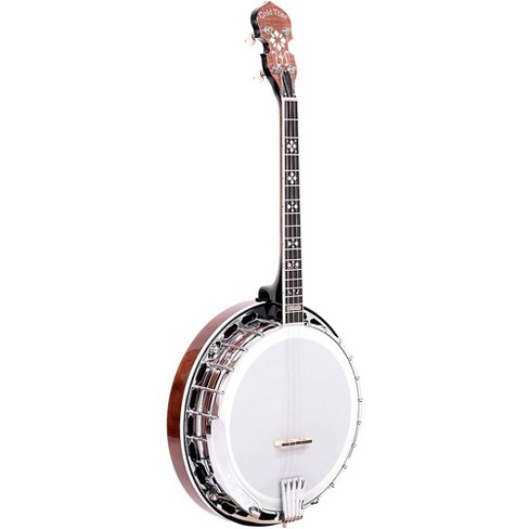 Gold Tone It-250f 4-string Irish Tenor Resonator Banjo : Target