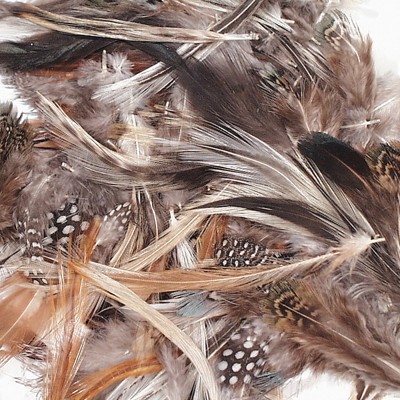 Creativity Street Natural Feathers, Natural Assorted Colors & Sizes, 1/ ...