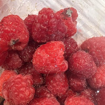 Raspberries - 12oz : Target
