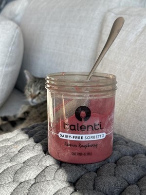 Talenti Dairy-free Frozen Roman Raspberry Sorbetto - 16oz : Target