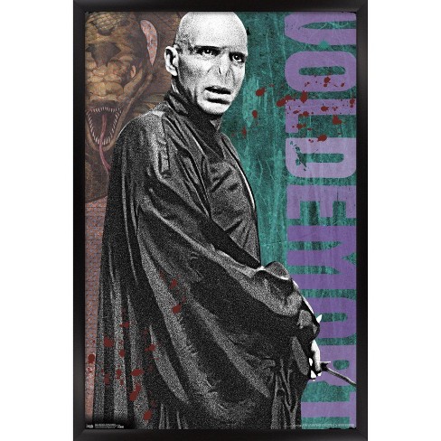 Trends International The Wizarding World: Harry Potter - Voldemort With ...