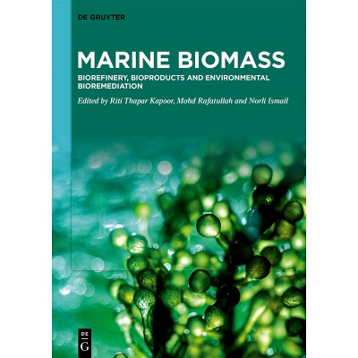 He-man And She-ra: A Complete Guide To The Classic Animated Adventures ...