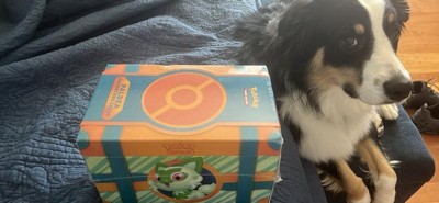 2024 Pokemon Paldea Adventure Chest : Target