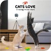 12 Pack Flying Disc Shooters for Kids, Interactive Cat Fetch Spinning ...