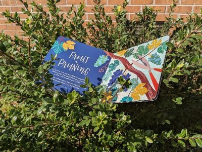 The Kingdom Of Heaven - (baby Believer) By Danielle Hitchen (board Book ...