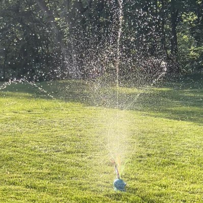 Kids' Whale Wiggle Tube Sprinkler - Sun Squad™ : Target
