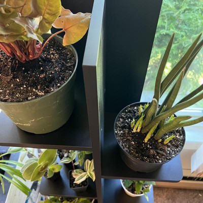 Costway Open Concept Bookshelf Plant Display Shelf Rack Storage Holder ...