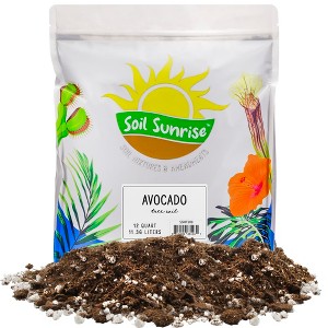 Soil Sunrise Avocado Tree Potting Soil Mix (12 Quarts) for Germinating ...