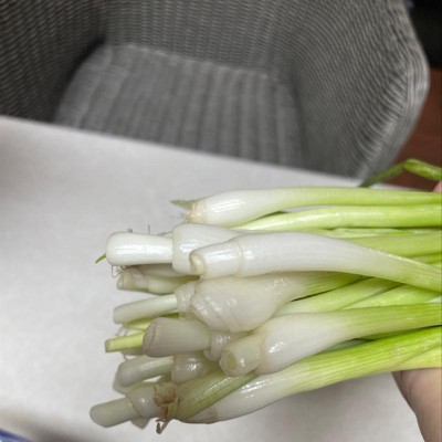 Green Onions - 5.5oz - Good & Gather™ : Target
