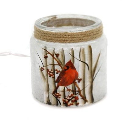 Stony Creek 4.0 Inch Cardinal Lighted Jar W/jute Indoor Use Novelty ...