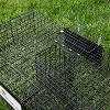 Rugged Ranch Rattr Ratinator Live Rat Chipmunk Squirrel Mouse Rodent ...