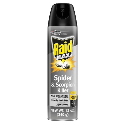 Raid Max Spider and Scorpion Killer Bug Spray - 12oz : Target