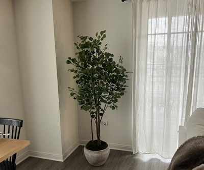 72" Artificial Ficus Tree - Threshold™ Designed With Studio Mcgee : Target