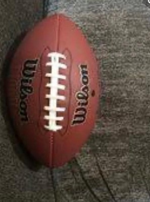 Wilson Nfl All Pro Official Football : Target