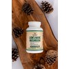 Lion's Mane Mushroom - 120 X 500 Mg Capsules By Double Wood Supplements ...