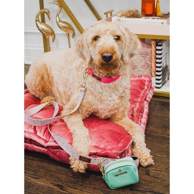 Pink Papyrus Isla Dog Leash - 6ft : Target