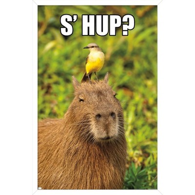 Trends International Capybara - Be Cappy Unframed Wall Poster Print ...