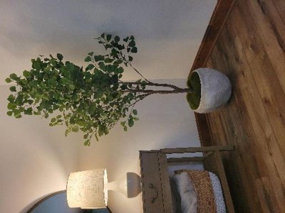 72" Artificial Ficus Tree - Threshold™ Designed With Studio Mcgee : Target