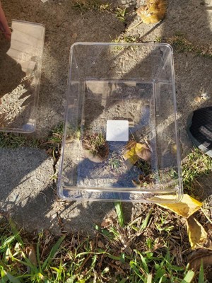 Produce Fridge Bin Clear - Brightroom™ : Target